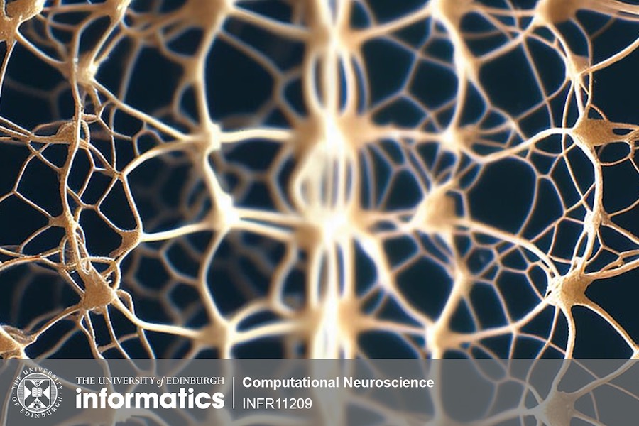 CNS: Computational Neuroscience | Open Course Materials